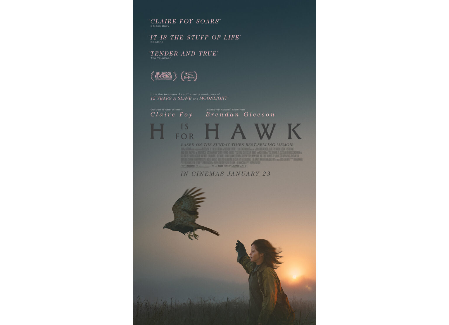 H is For Hawk (12A) - MK Gallery
